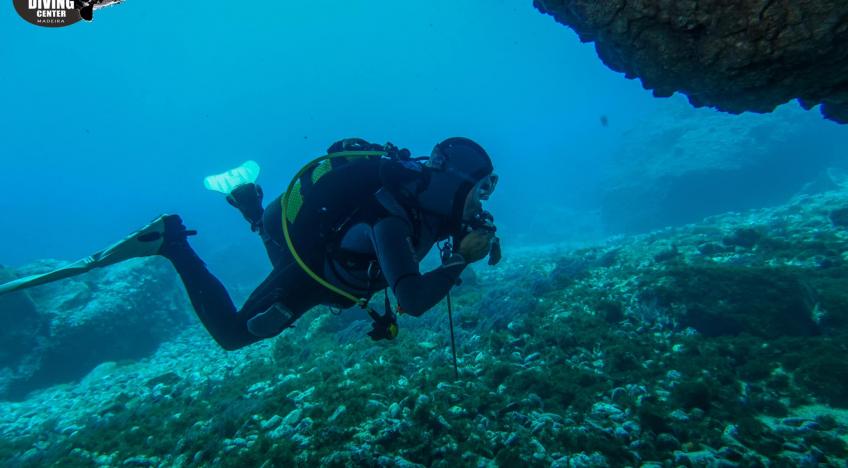 Mero Diving Center, Centro de mergulho, na ilha da Madeira